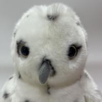 China Snowy Owl Plush Toy White Spotted Owl Doll Realistic Bird Plushie Soothing Companion Gift for Kids for sale