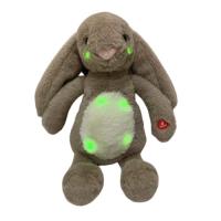 China 0.25M 9.84in LED Light Up Singing Plush Toy with Custom Audio - Soft Stuffed Animal for Kids for sale
