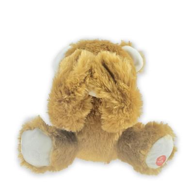 China Peek A Boo Voice Recording Educational Plush Toy 20cm 7.87in with Customizable Designs and PP Cotton Filling for sale