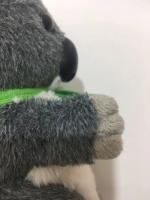 China 17Cm Recording Plush Toy Animated Repeating Speaking Koala 100% PP Cotton Inside for sale