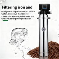 China Factory Price Instock Deep Well Water Automatic Stainless Steel Iron and Manganese Removal Water Purifier for sale