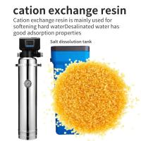 China Automatic Water Softener  Center Water Purifiers Hard Water Softener Remove Calcium Magnesium with Exchange Resin No Salt tank for sale