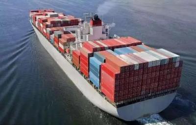 China Customized International Ocean Freight Shipping Door To Door DDP Service for sale