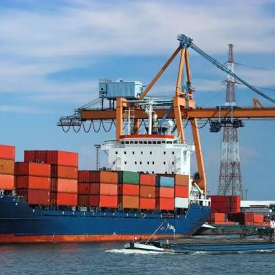 China Customs Clearance LCL Ocean Freight EXW FOB China To USA for sale