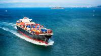 China MATSON COSCO Customs Clearance Services Professional Customs Clearance Agent for sale