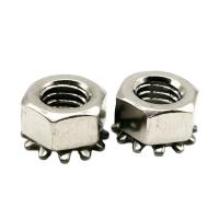 China Standard Metal Self Locking Nut A2-70 A2-80 A4-70 A4-80 With Lock Washer for sale
