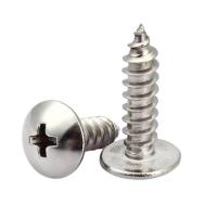 China Stainless steel 304 cross large round head mushroom head self tapping screw for sale