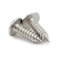 China Stainless steel 304 cross large round head mushroom head self tapping screw for sale