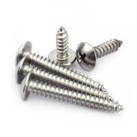 China Stainless steel 304 cross large round head mushroom head self tapping screw for sale
