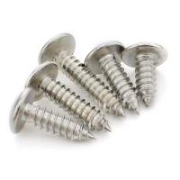 China Stainless steel 304 cross large round head mushroom head self tapping screw for sale