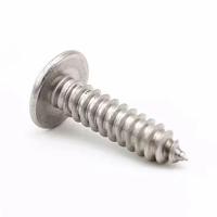 China Stainless steel 304 cross large round head mushroom head self tapping screw for sale