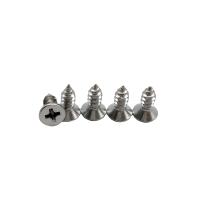 China ISO7380 Stainless Steel Countersunk head cross tapping screws for sale