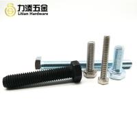 China Stainless steel hex bolts black hex bolts galvanized hex bolts for sale