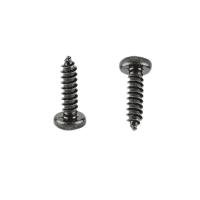China Waterproof Black Zinc Plated Screws , Toxinfree Self Sealing Roofing Screws for sale