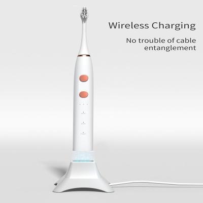 China Portable 2000mAh Large Capacity Sonic Electric Toothbrush IPX8 Waterproof Deep Cleaning Oral Plaque and Calculus for sale