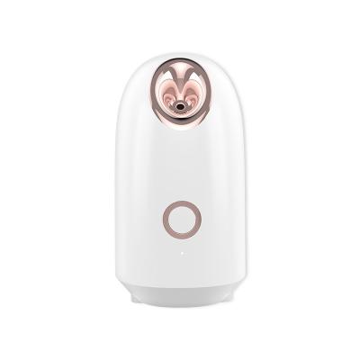 China Small Volume Thermal Jet Facial Steamer for Deep Cleaning and Bacteria Killing with 200 ml Water Tank for sale