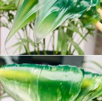 China Advantage Dustproof Multi Purpose Nlgi2 Heavy Duty Plastic Tube Pipe Polyurea Making Machine Mineral Green Solid Grease for sale