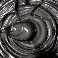 China NSF Certified Blue and Black Liquid Moly Grease Ep2 Ep 3 for Wheel Bearings and Brake for sale