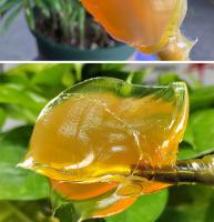 China Trade Super Semi-Fluid Grease for Light-Duty Machinery at High Viscosity Base Oil for sale