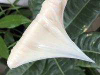 China NSF Certified Grease for High Temperature Resistance in Pellet Machines and Pumps for sale