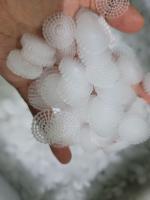 China HDPE Bio Mbbr Carrier Filter Media Bio Filler Making Machine For Water Treatment for sale