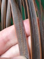 China Synthetic Thatch Roof Rattan Making Machine for sale