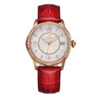 China Cowhide Strap Automatic Mechanical Watch Noctilucous Luxury Diamond for sale