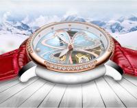 China Seagull Movement 3ATM 5ATM Luxury Automatic Mechanical Watch for sale