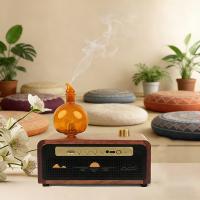 China 100cbm Coverage Luxurious Modern Home Aroma Diffuser With Bluetooth Audio for sale