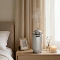China Luxury Compact Aroma Car Diffuser Portable 10ml Capacity Auto Essential Oil Diffuser for sale