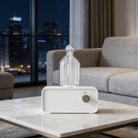 China DC5V 1A 2W Type C Aromatherapy Aroma Diffuser For Essential Oil Diffusion for sale