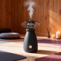 China Modern Minimalist Essential Oil Aromatherapy Diffuser Hand Blown Glass Construction for sale