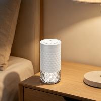 China Bluetooth App Control Low-Noise Home Aroma Diffuser with 80 mL Visualized Glass Essential Oil Bottle for sale