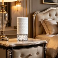 China Intelligent Control Aroma Diffuser with 80 mL Capacity, 100 m³ Coverage, and ≤ 38 dB Noise for Home and Office for sale