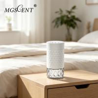 China 2W Power Portable Aroma Diffuser with 80 mL Capacity and ≤ 38 dB Noise for Essential Oils for sale