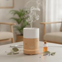 China Wireless 2W Low Noise Eco Friendly Aroma Diffuser with Extra-long Battery Life for Home Fragrance for sale