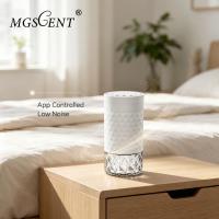 China 2W Power Portable Aroma Diffuser with 80 mL Capacity and ≤ 38 dB Noise for Essential Oils for sale