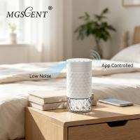 China 2W Power Portable Aroma Diffuser with 80 mL Capacity and ≤ 38 dB Noise for Essential Oils for sale