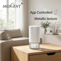 China 2W Power Portable Aroma Diffuser with 80 mL Capacity and ≤ 38 dB Noise for Essential Oils for sale
