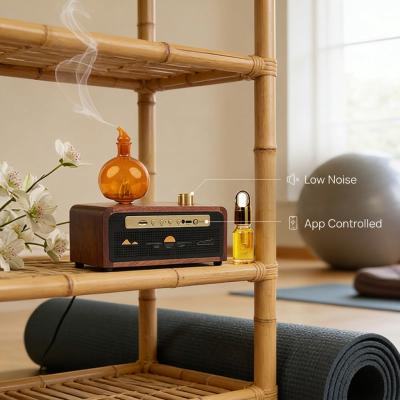 China Hi-Fi Audio Home Aroma Diffuser Cold Air Diffusion Black Sandalwood African Mahogany for sale