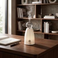 China DC5V 1A Home Aroma Diffuser 2600mAh Lithium Battery Rechargeable Essential Oil Diffuser for sale