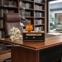 China Intelligent Intermittent Mist Home Aroma Diffuser With Bluetooth Audio for sale
