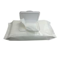 China Customized House Cleaning Tool Cleaning Wet Wipes Dispenser With Alcohol Free for sale