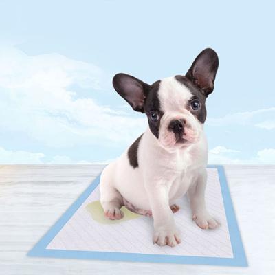 China Comfortable Cheap Disposable Pet Training Pads Pet Pee Pad for sale