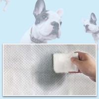 China Comfortable Cheap Disposable Pet Training Pads Pet Pee Pad for sale