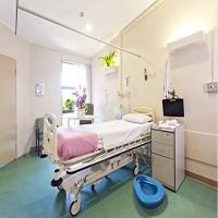 China Elderly Female Male Bedridden Patient Hospital Bed Pan for sale
