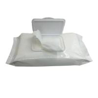 China High Quality Adult Bath Wipes Cleaning Wet Wipes Dispenser with Alcohol Free for sale