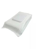 China High Quality Adult Bath Wipes Cleaning Wet Wipes Dispenser with Alcohol Free for sale