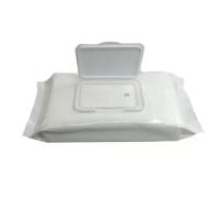 China High Quality Adult Bath Wipes Cleaning Wet Wipes Dispenser with Alcohol Free for sale