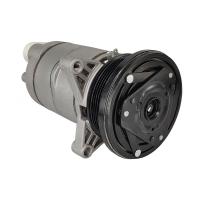 China Oe CO 20179GLC 1520179 Car Auto Ac Compressor for Chevrolet G10 HR6 4719170 4719170 620109 1520179 for sale